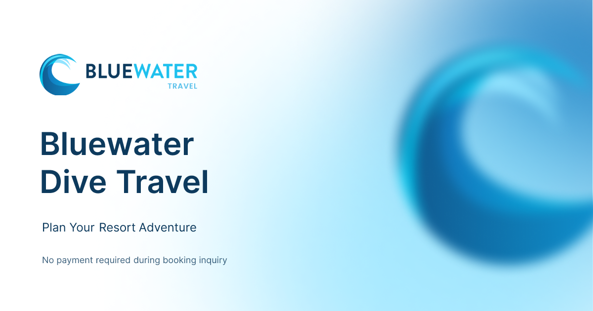 Plan Your Trip to Deep Roots Dive & Yoga Resort — Bluewater Dive Travel