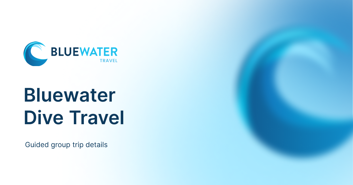 Luxury Maldives Dive & Spa Experience 2028 — Bluewater Dive Travel