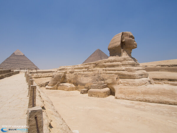 Red Sea Diving and Topside Egypt - Bluewater Dive Travel