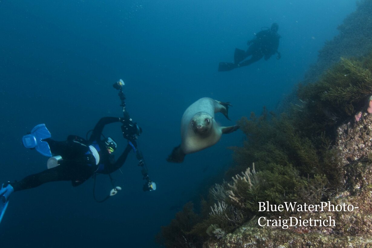 Explore Baja 2020 | Bluewater Dive Travel