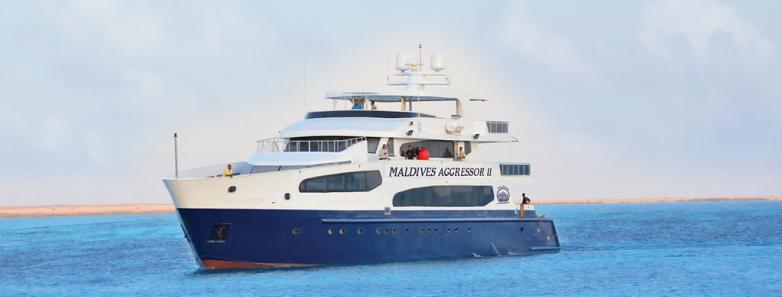 Aggressor Fleet Latest Deals - Up to 40% off - Bluewater Dive Travel