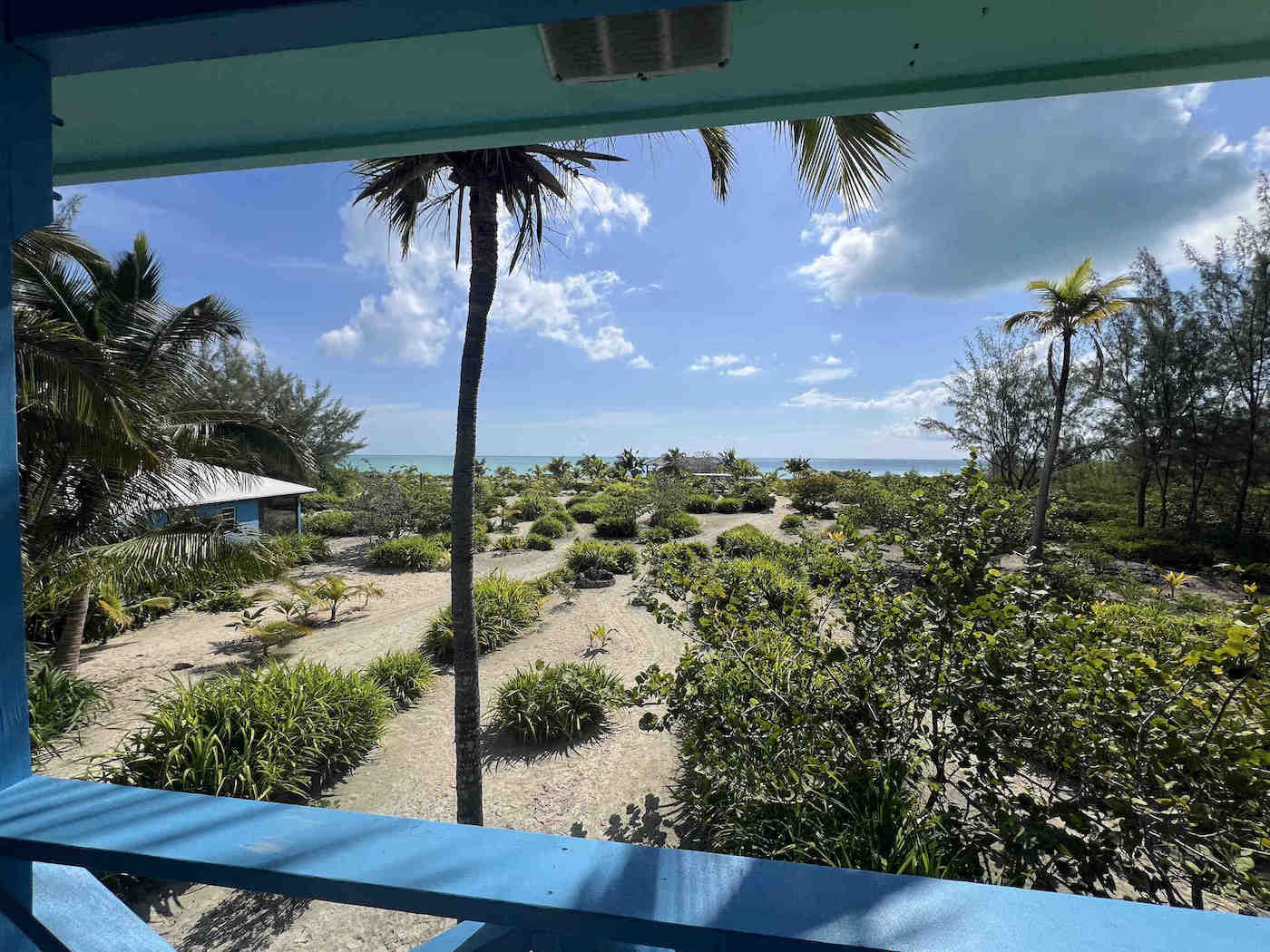 Andros Beach Club Reviews & Specials - Bluewater Dive Travel