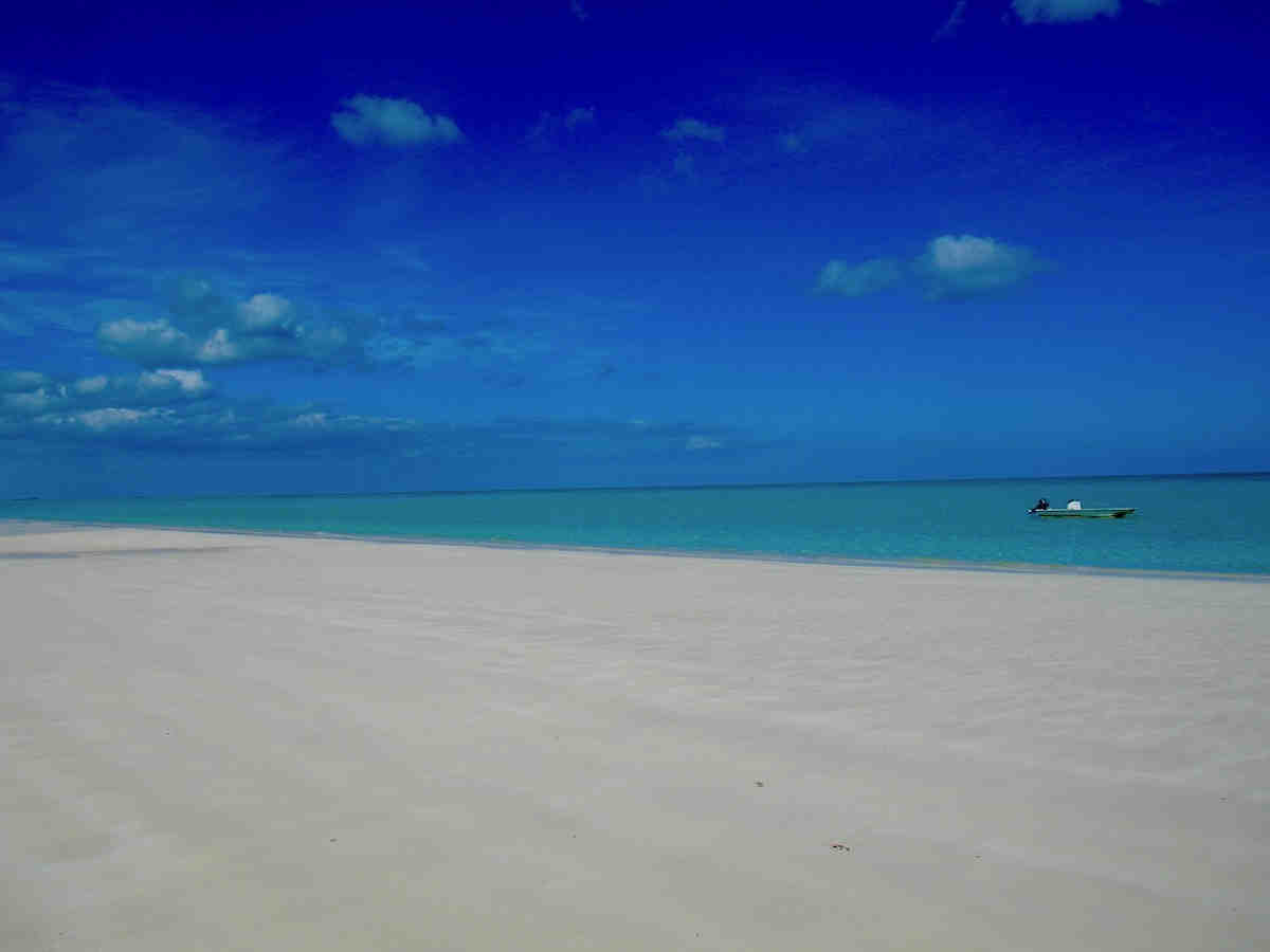 Andros Beach Club Reviews & Specials - Bluewater Dive Travel